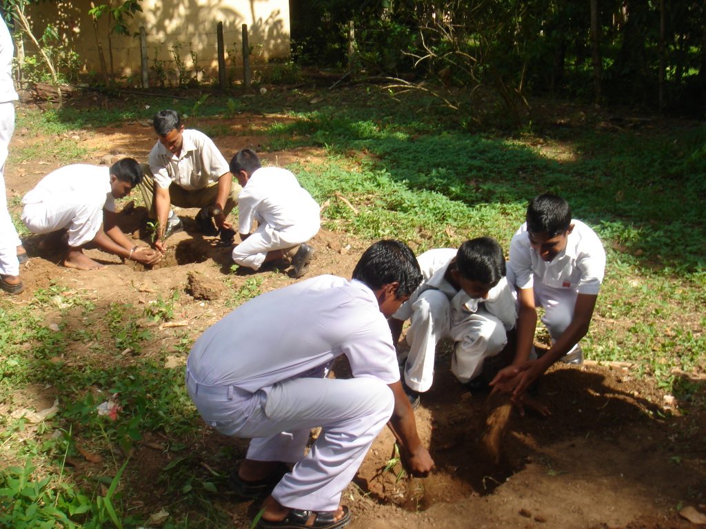 Get to know SEWF Youth Forum speaker - Anoka Primrose Abeyrathne - SEWF
