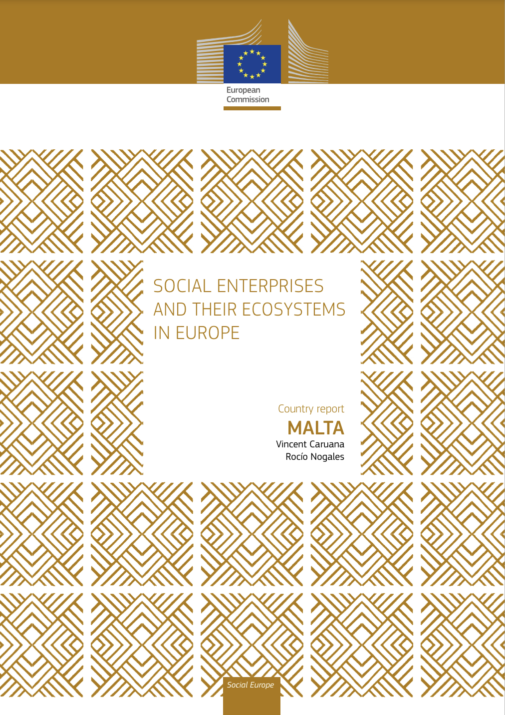 Social enterprises and their ecosystems in Europe | Country report ...